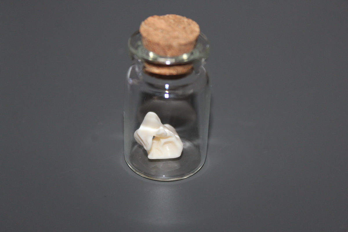 Simulated Snake Bone Specimen Vial – ForensicFX Studios