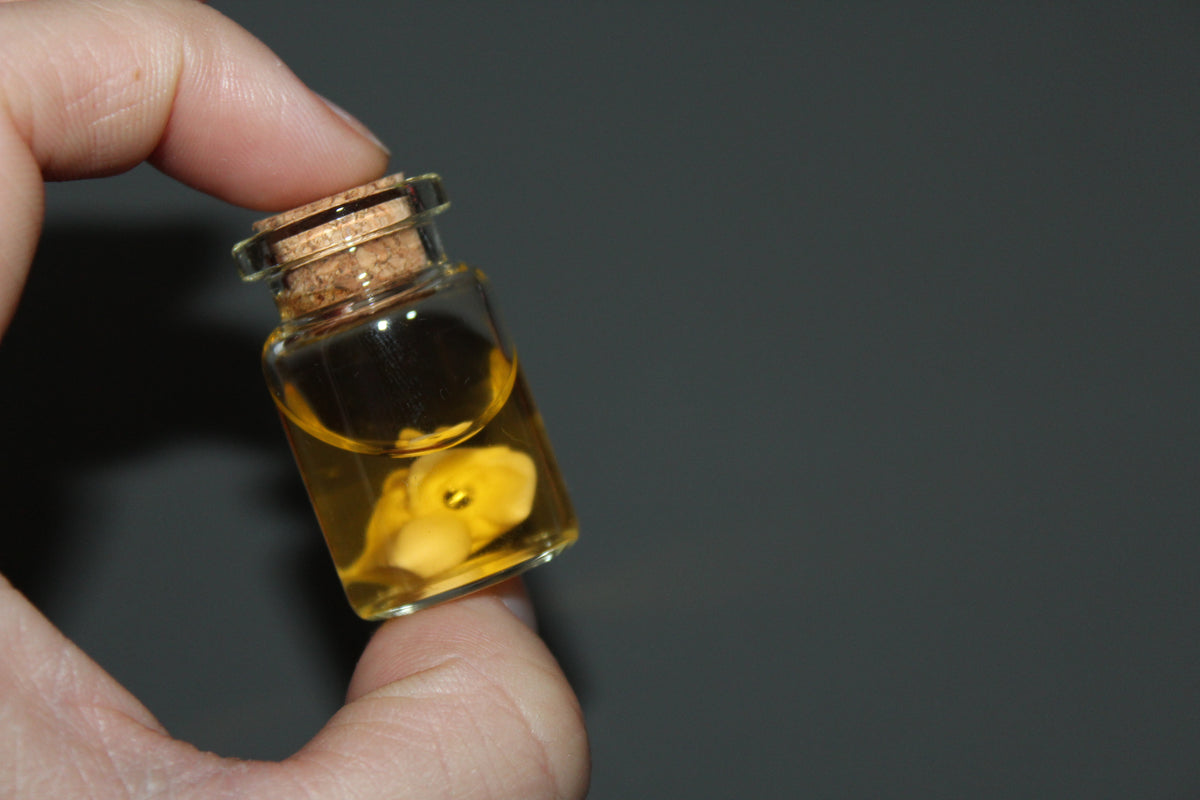 Simulated Preserved Snake Bone Vial – ForensicFX Studios