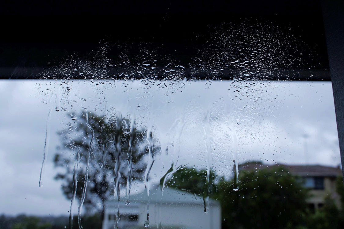 Rain Drop Condensation Spray – ForensicFX Studios