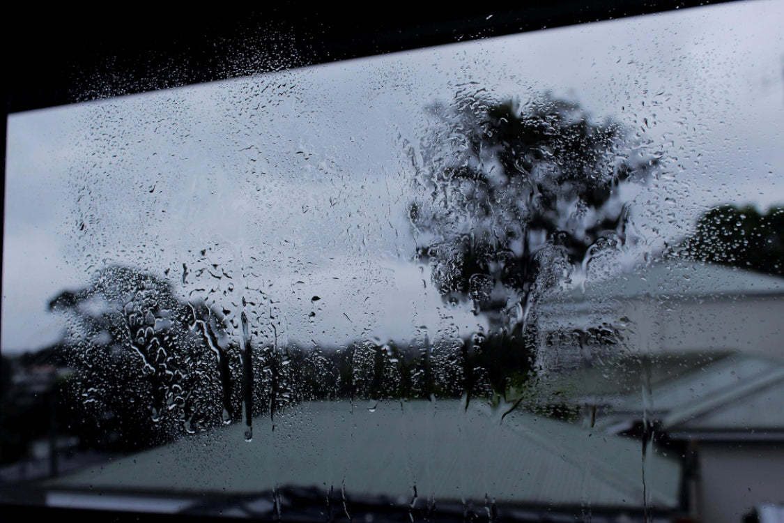 Rain Drop Condensation Spray – ForensicFX Studios