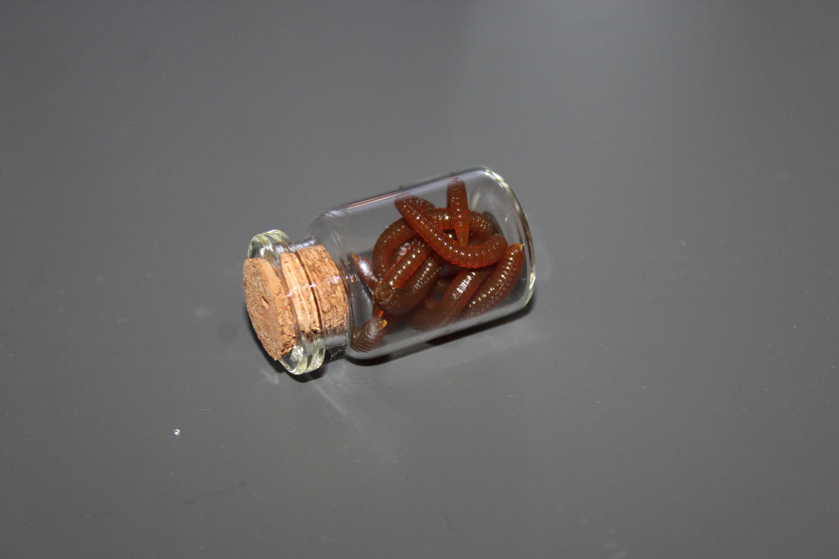 Long Worms in Specimen Vial – ForensicFX Studios