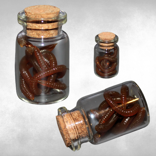 Long Worms in Specimen Vial – ForensicFX Studios