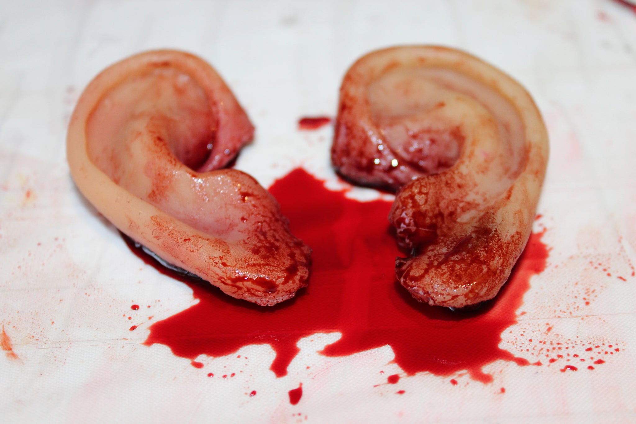Severed Ear Prop – ForensicFX Studios